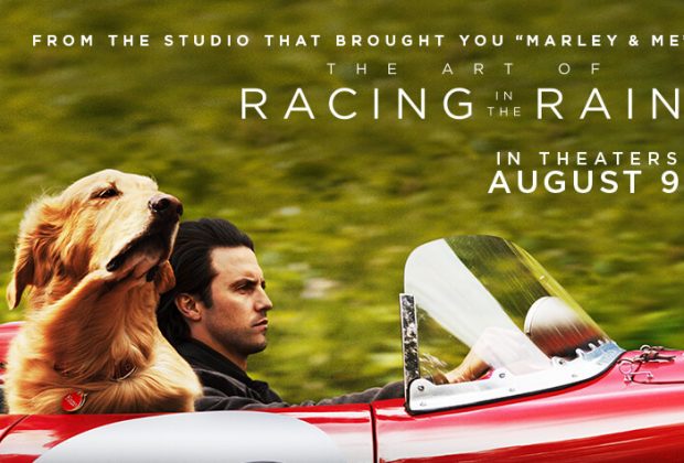 The Art of Racing in the Rain - This Race is Lost in the First Lap ...